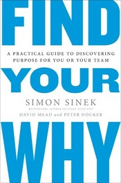 Find Your WHY - Audiobook Summary