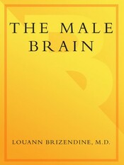 The Male Brain - Audiobook Summary
